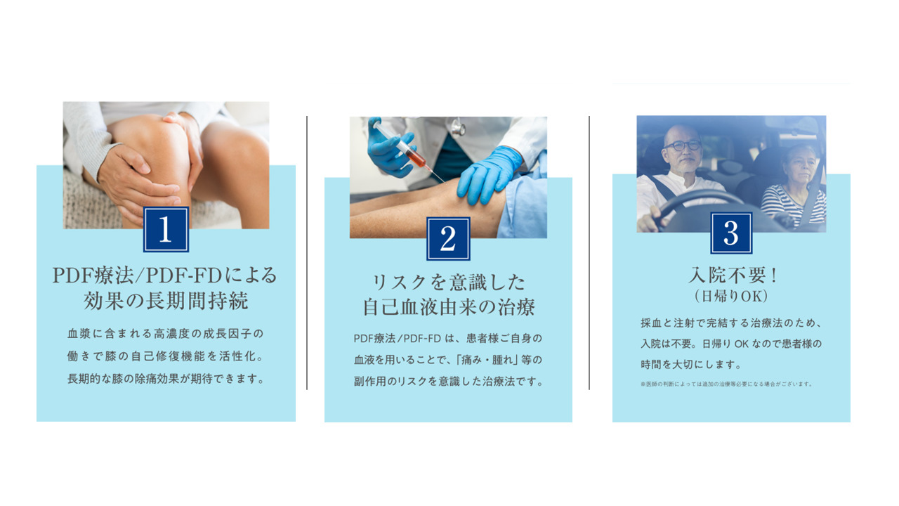 PDF-FD療法